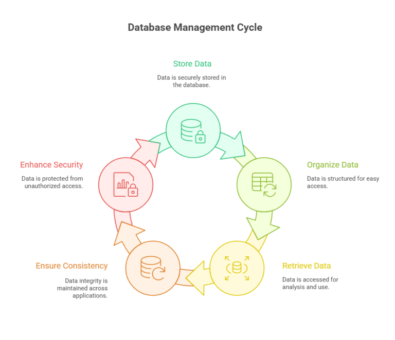 Database Management Service: Why It’s Essential for Your Business